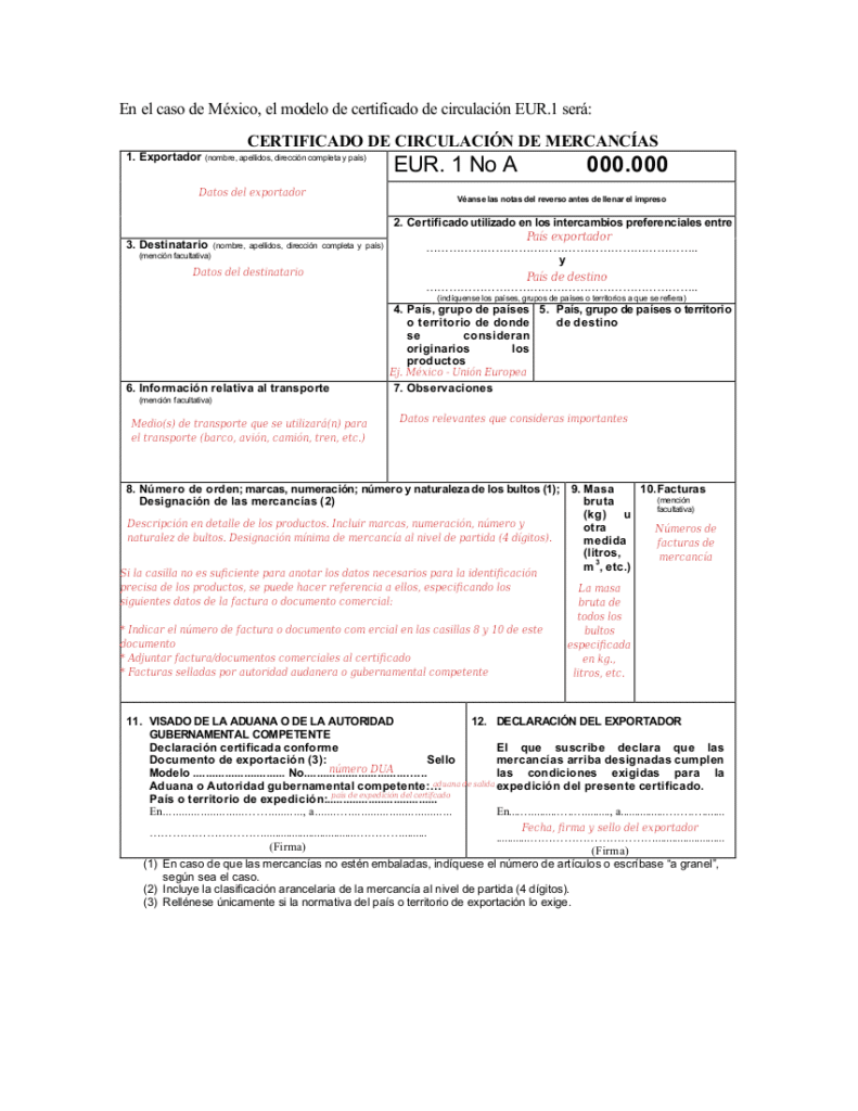 Como Validar el Certificado de Circulación de Mercancías EUR 1 【2024